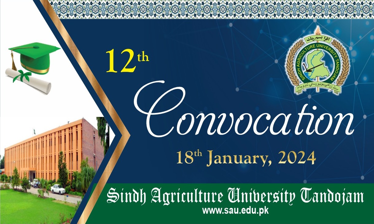 12th Convocation 2024 | Sindh Agriculture University, Tandojam